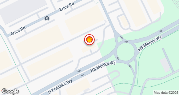 SHELL STACEY BUSHES - Shell