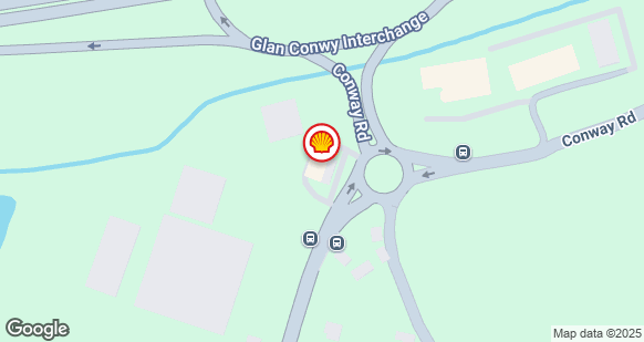 SHELL BLACK CAT - Shell