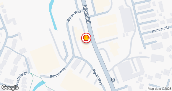 SHELL JENNYFIELD - Shell