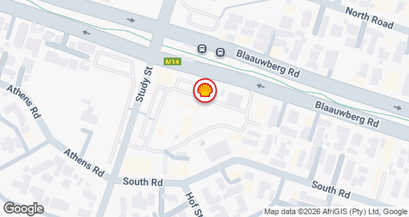 FLAMINGO SQUARE - Shell